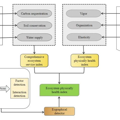 Conceptual Framework For Ecosystem Health Assessmen Download Scientific Diagram