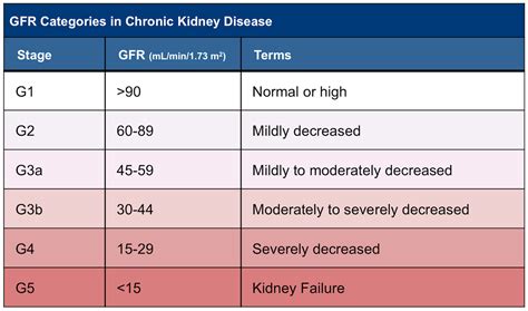 8 Triglyceride Hdl Ratio Calculator BradleyDarragh
