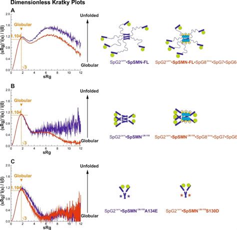 15 Dimensionless Kratky Plots For The Generation Of These Plots From Download Scientific