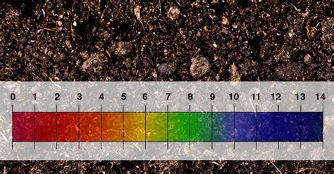 Understanding Soil Properties