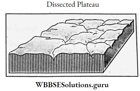 Wbbse Notes For Class 9 Geography And Environment Chapter 4 Geomorphic Processes And Landforms