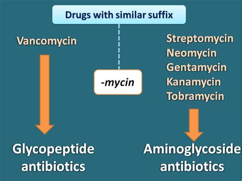 Vancomycin Class Total Syntheses Of Vancomycin Organic Synthesis Set
