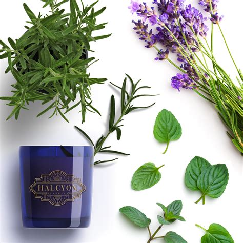 Diffuser Halcyon Naturals
