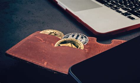 ¿cuál Es La Mejor Wallet Para Criptomonedas