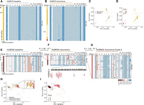 Pre Existing Subclones Determine Radioresistance In Rectal Cancer