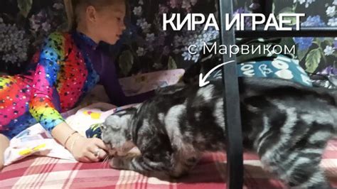 Кира играет с Марвиком Цирковая гимнастика Киры Дзен
