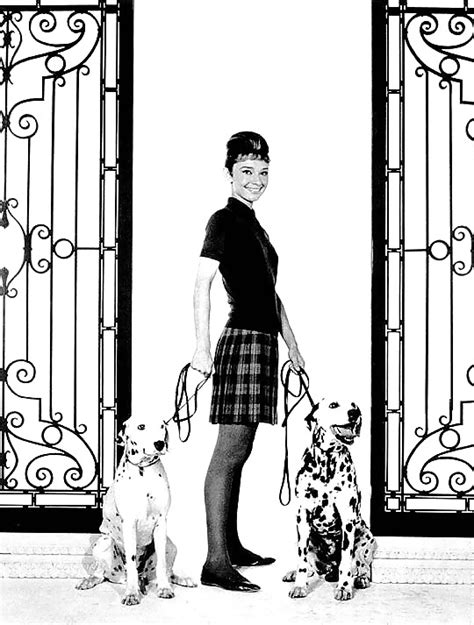 Classic Audrey Hepburn Porn Pictures Xxx Photos Sex Images 316602