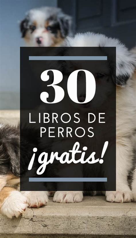 Pin En Libros Gratis PDF