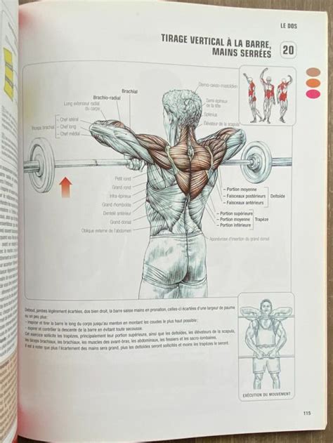 Guide Des Mouvements De Musculation Kaufen Auf Ricardo
