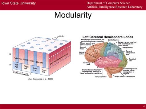 A Distributed Tableau Algorithm For Package Based Description Logics Ppt