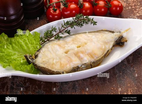 Spotted Wolffish Hi Res Stock Photography And Images Alamy