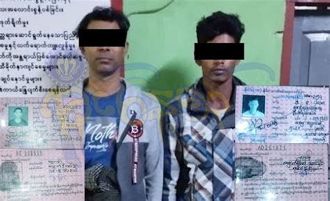 မှတ်ပုံတင်အတုကိုင်ဆောင်ထားသူ ဘင်္ဂါလီ ၁ ဦးနှင့် ပို့ဆောင်သူ ၁ ဦးကို ပဲပဒုံစစ်ဆေးရေးဂိတ်၌ ဖမ်းမိ