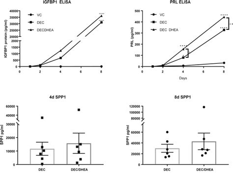Dehydroepiandrosterone Enhances Decidualization In Women Of Advanced Reproductive Age Pmc