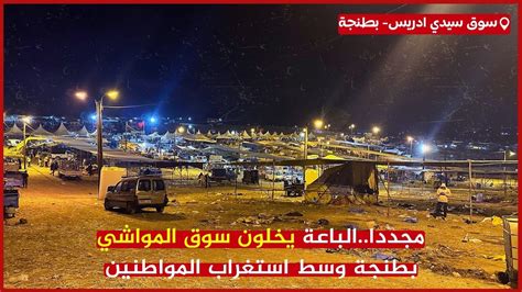 مجددا الباعة يخلون سوق المواشي بطنجة وسط استغراب المواطنين Youtube