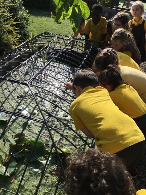 Gardening In Savannah Class St Marks C Of E Primary School