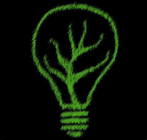 Understanding Cross Pollination And How To Control It In Your Garden Mygreenterra