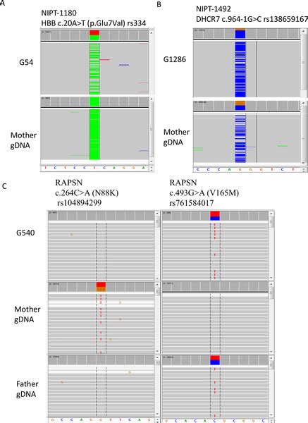 Whole Genome Amplification Plos One