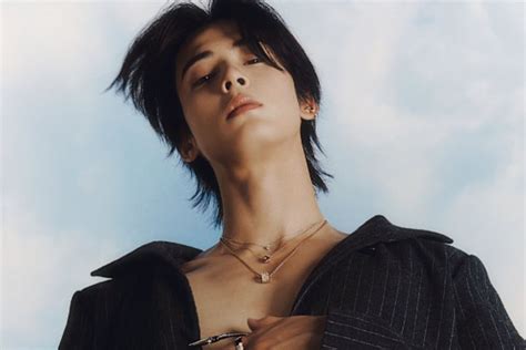 Conheça Cha Eun Woo O Ator Do Dorama Beleza Verdadeira Da Netflix