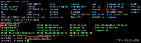 Hyperledger Fabric环境搭建Linux hyperledger fabric linux amd64 2 5 7 CSDN博客