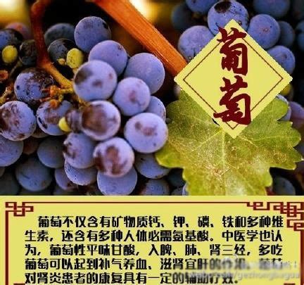 补肾的食物有哪些 推荐8大补肾食物 全文 养生图志 99养生堂