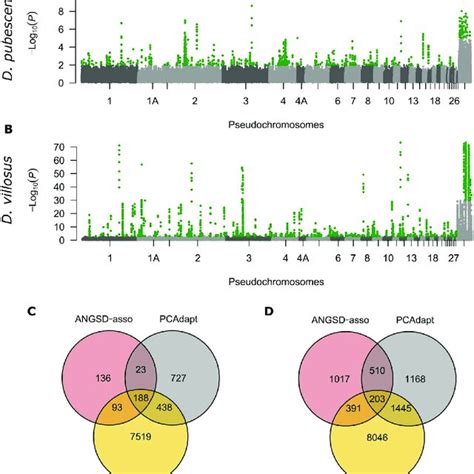 Population Structure Outliers And Method Intersection Manhattan Plots