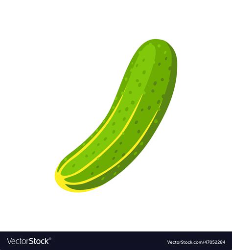 Cucumber With Vitamin C Royalty Free Vector Image