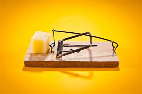 9500개 이상의 쥐덫 이미지 스톡 사진 그림 및 Royalty Free 이미지 Istock