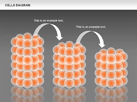 Cells Diagram Free Presentation Template For Google Slides And PowerPoint