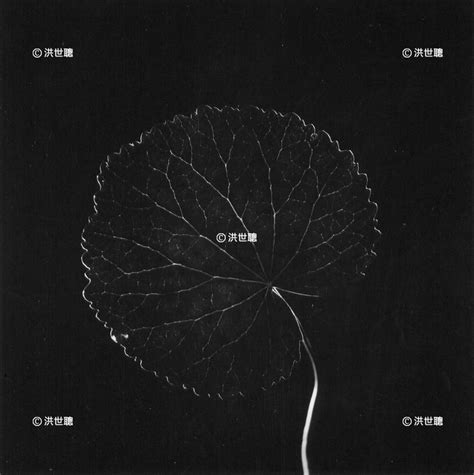 2004入默 27 洪世聰 1959 數位島嶼