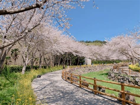 서홍동 2025년 상반기 주민자치센터 프로그램 수강생 모집 컬처제주