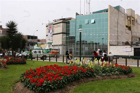 Celiz Centro Psicológico Centros De Psicoterapia En Puente Piedra