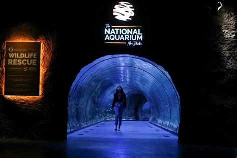 中东地区最大水族馆——阿布扎比国家水族馆正式开馆腾讯新闻