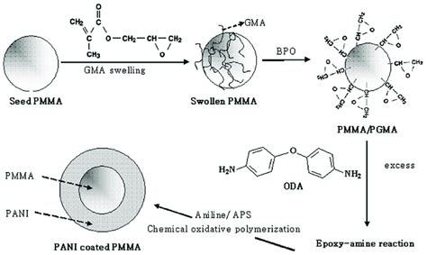 scheme 5 schematic diagram of the polymerization procedure of