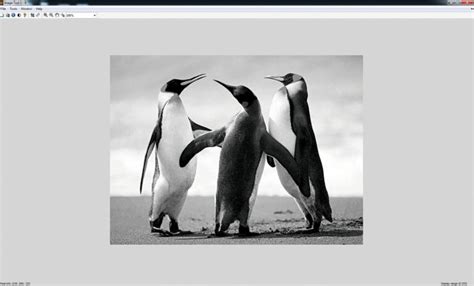 Image Processing Using MATLAB Basic Operations