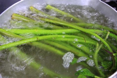 肴ならではの山菜料理 ハンゴンソウ 飛騨季節料理 肴店主の日記
