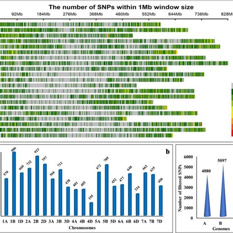 Genomic Features Of Wheat Association Panel A Density Maps Of The Download Scientific Diagram