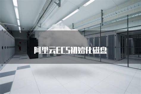 阿里云ecs初始化磁盘