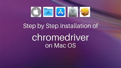 Solved Download And Install Chromedriver On Mac Os Sonoma Sequoia