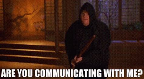 Beverly Hills Ninja Quotes