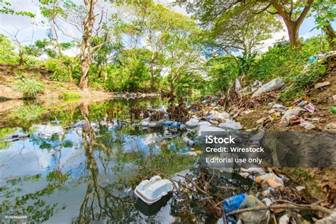가난한 동네 El Cafe에 쓰레기와 쓰레기로 가득 찬 나무가 있는 녹색 강둑 0명에 대한 스톡 사진 및 기타 이미지 0명 강 개발 Istock