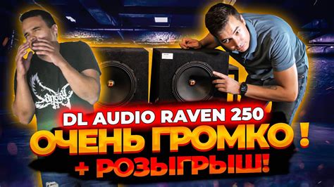 Громкий фронт в одном динамике|розыгрыш|Dl Audio Raven 250 — DL Audio