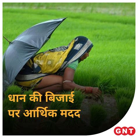 Gnttv On Twitter खरीफ की बुवाई का वक्त नजदीक आ चुका है किसान खेतों