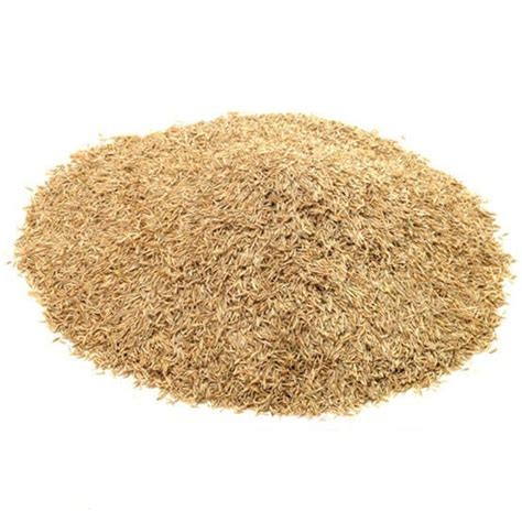 Купить семена в Бресте каталог цены