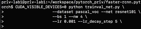 Train Issue Issue 23 Jwyang Faster Rcnn Pytorch GitHub