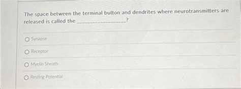 Solved The Space Between The Terminal Button And Dendrites