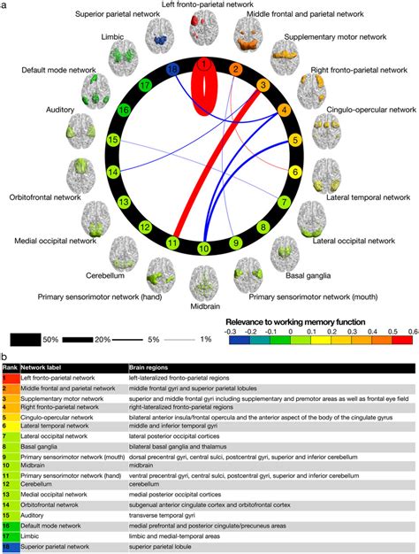 Contribution Of Connections To Prediction Of Performance Plateau A Download Scientific