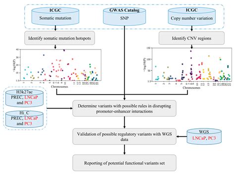 A Comprehensive Investigation Of Genomic Variants In Prostate Cancer