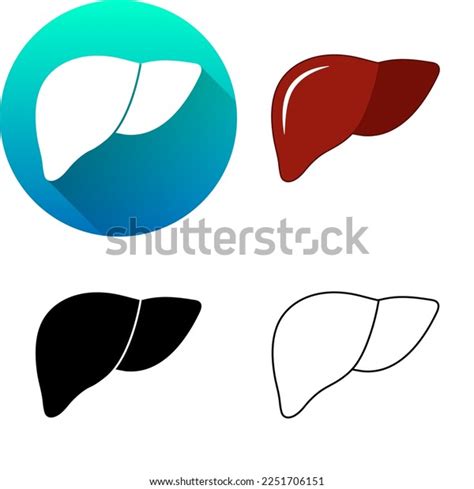 Set Human Liver Digestive Hepatic System Stock Vector Royalty Free