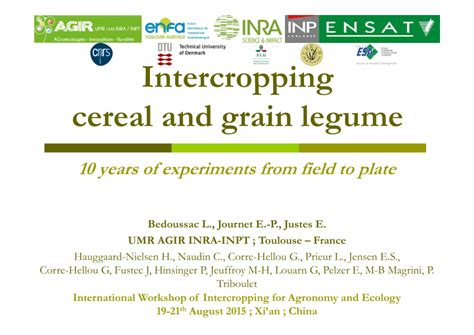 Pdf Intercropping Cereal And Grain Legume 10 Years Of Experiments From Field To Plate