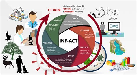 INF ACT Foundation One Health Basic And Translational Research Actions